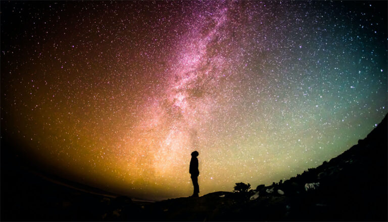 "Noticing" the World - Dovetail Learning