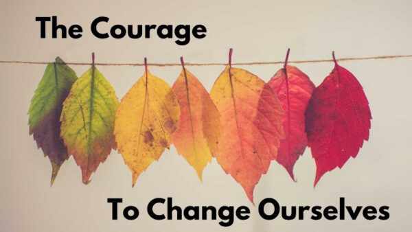 Leaning Into Courage - Dovetail Learning