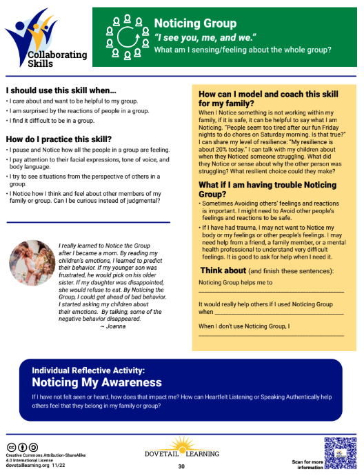 Noticing Group Introductory Handout - Dovetail Learning